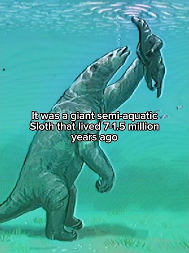 The Sloth that used to live in the Sea #prehistoric #groundsloth