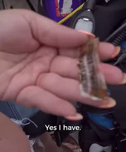 🚨Nature's Enigma: The Missing Woman Of Ohio #MissingPerson | Depths of History