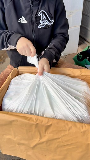 Nho đẹp 83-86 đây các chị yêu ơi Em này xứng đáng lên kệ giá 170-180kkg ý Như nho mỹ luôn . Nhưng riền lô vip này về em tặng giá 99k thôi nhé Thùng 3 kg chốt 285k | Hoa Quả Ưu Đàm