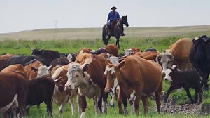 15M views · 10K reactions | 數 Uruguay boasts a well-developed...