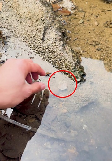 Coin Cleaning on TikTok