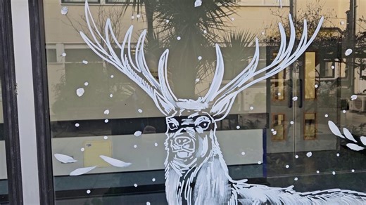 4.4K views · 31 reactions | Holly the Elf wants to deliver your...