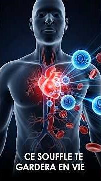 Comment l’Oxygène Voyage dans le Sang | Le Voyage Invisible qui Maintient la Vie