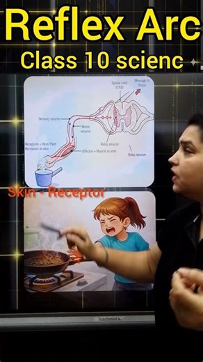 Class 10 Science | Reflex Arc in 60 Seconds 🔥 | Control and Coordination Quick Revision