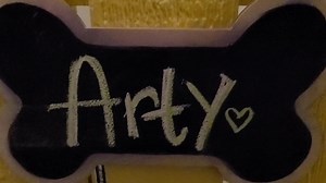 1K views · 241 reactions | Goodnight, Artemus. #adoptartemus #notyouraverageshelter #littleredbarn #pennylanepups https://alwaysandfurever.love/forms/ | Always & Furever Midwest Animal Sanctuary | Facebook