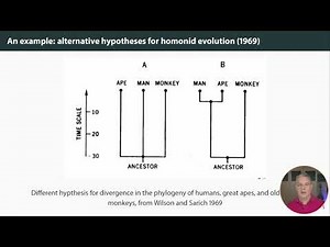 LSM2241 Introductory Bioinformatics: Molecular phylogenetics and evolutionary history