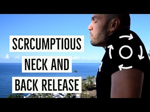 Shoulder Roll Progressions for Increasing Scapular Mobility with Antranik