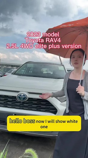 Toyota RAV4: Explore the White Stock Edition