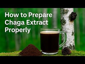 How I Prepare Chaga Extract After 22 Years of Daily Use
