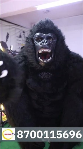 Gorilla Inflatables Costume | Available on IndiaMART