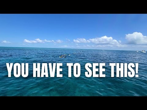 Snorkeling Christ of the Abyss Key Largo | Boating Journey