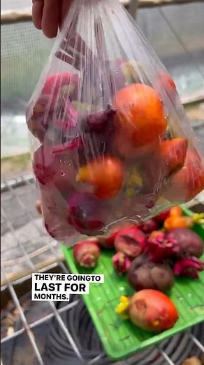 Preserve Your Beets For Months With This Storage Trick!