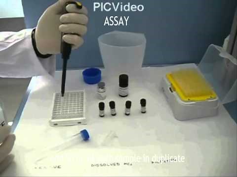 Phosphatase assay (Microcystest)