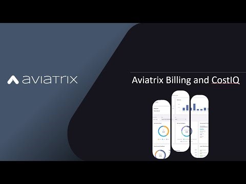 Aviatrix CostIQ - 2 minute Demo