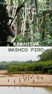 On the International Day of the World’s Indigenous Peoples, we...