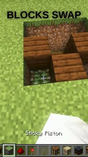Minecraft Block Swapper 😮