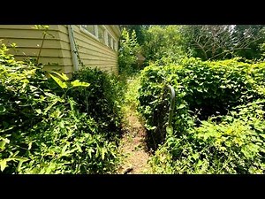 Overgrown Lawn Turned DANGEROUS When We Started Mowing, HIDDEN SIDEWALK Reveal