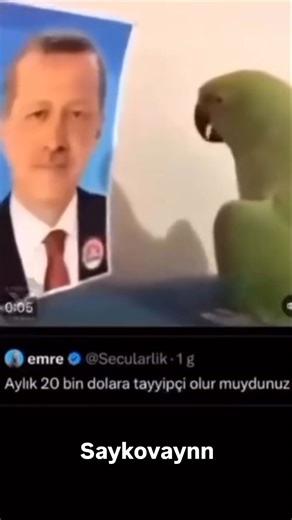 @saykovaynn on Instagram: "Cevapları alayımmm ( 20 vieeğğrr ) KXCNFKXNXKFNDKDFNFJDNDKCNFKDNDJCNCJDJDJSJSJSKSS . . . #receptayyiperdoğan #para #siyaset #papağan #kuş"