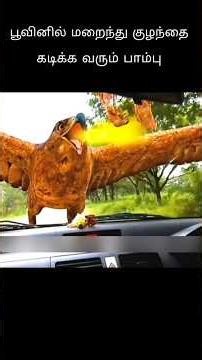 பூவினில் மறைந்து குழந்தை கடிக்க வரும் பாம்பு#tamil movies #tamil dubbed movies