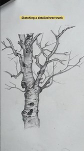 Sketching a detailed tree trunk #drawing #sketchings #treedrawing #treebark #treetrunk