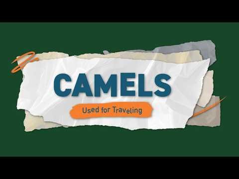 Make a Camel 🐪 | Green Alpha Origami Tutorial