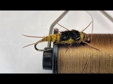 golden stonefly nymph by adkflytying