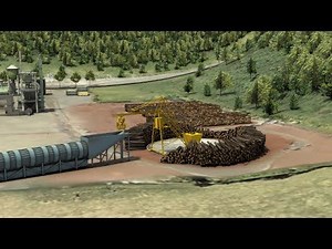 Log Handling and Chip Storage