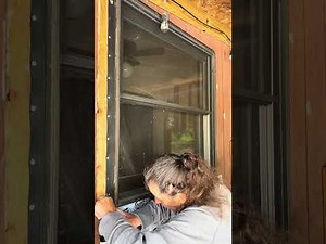 How to use protector wrap to seal windows from rain and cold