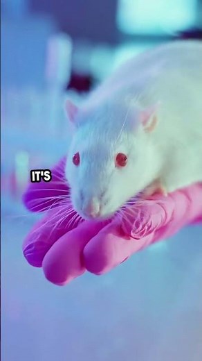 The Basics of Drug Stability Testing