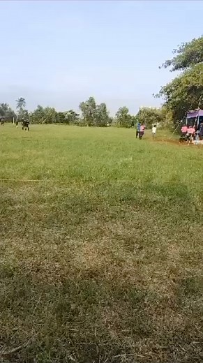 Referee allegedly assaulted by Agarvaddo players during BJP Yuva morcha Calangute interward football tournament at Arpora football ground | Prudent Media