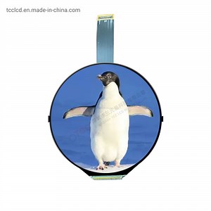 [Hot Item] 5 Inch 1080X1080 Resolution IPS LCD Screen Mipi Interface Transmissive Round TFT LCD Display