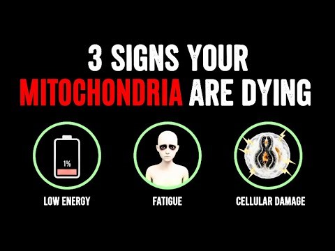 3 Signs Show Your Mitochondria Are Dying | Symptoms Health