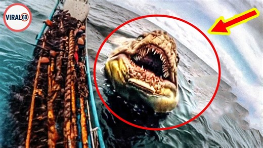 1.3M views · 11K reactions | Fisherman Captures What No One Was Supposed To See! #Discovery #Mysterious #Secret #Top15 #Alien #UFO #Shock | Viral 60 | Facebook