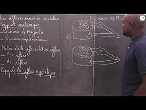 Course - Terminale S - SVT: Innate or absolute reflexes / Anatomical support / M. Gnasse