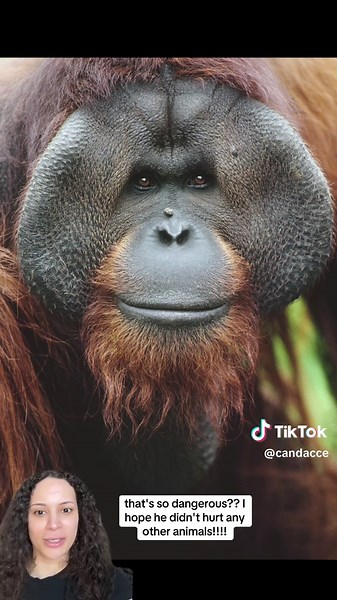 ken allen a real one #foryou #fyp #foryoupage | ken allen