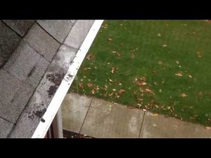 LeafFilter overflow in action - Fail