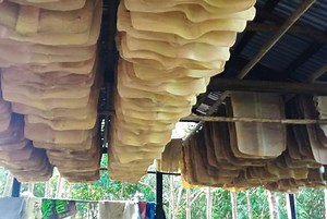 Rubber trade suspends due to shortages of raw material in Mon State