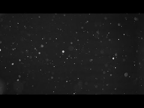 4K Best white particles real dust Free commercial use 02