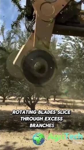 Orchard Branch Cutting Machine: Fast and Precise Tree Pruning 🌳⚙️