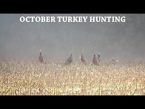 2019 Fall Turkey Hunting Part 1: October