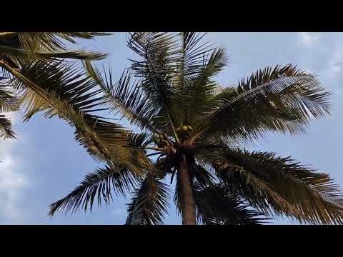 😌 ꜰɪɴᴅ ᴍᴇ | ‪@mahe_explorer_26‬ | 𝘀𝘂𝗯𝘀𝗰𝗿𝗶𝗯𝗲