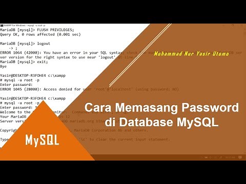 Cara Membuat dan Memasang Password untuk User Root MySQL (User Management: 2/6)