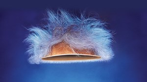 The Man With Two Brains - Apple TV