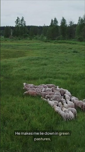 Psalm 23 – The Lord Is My Shepherd