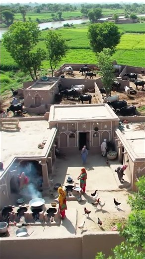 Gaon ki khubsurat subah ❤️#ytshorts #villagelife #villagemorning #viralvideo