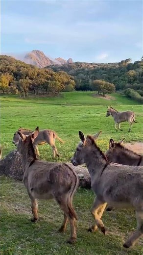Spring in Italy Is Something You Have to See to Believe