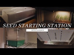 Setting Up Your Seed Starting Station