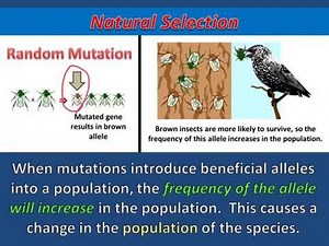 Natural Selection and Inherited Variations