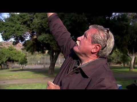 Meet the man who claims he can summon UFOs