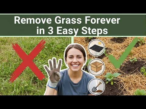 How to Remove Grass from Your Garden